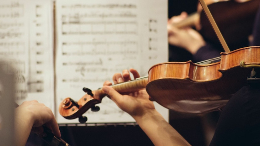 Concertmaster: How to Become a Concertmaster - 2025 - MasterClass