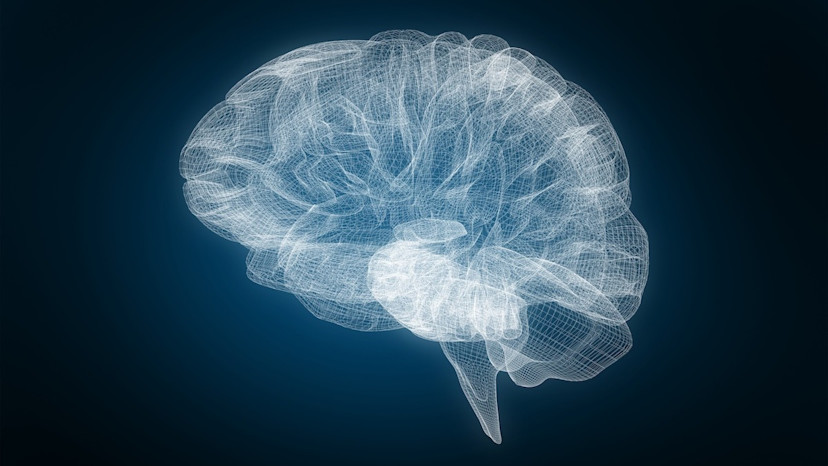 Default Mode Network: How Meditation Affects Brain Function - 2025 ...