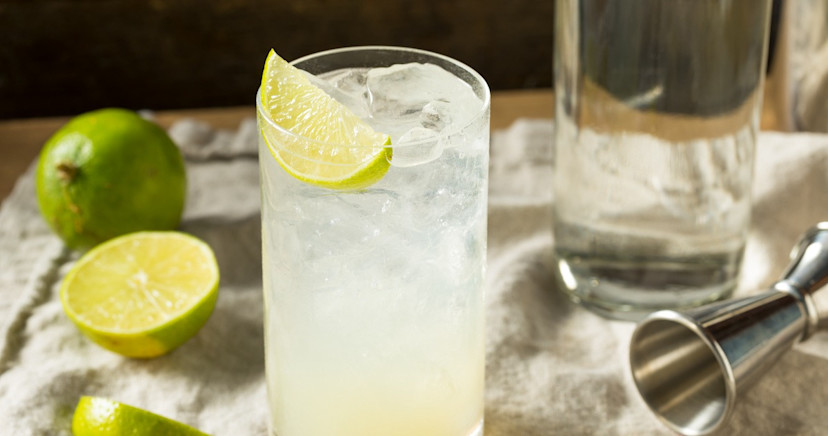 Lime Rickey Recipe: How to Make the Cocktail or Mocktail - 2025 ...