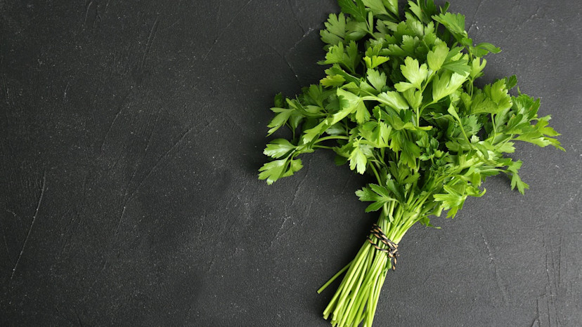 How to Dry Cilantro Using 3 Simple Methods - 2025 - MasterClass