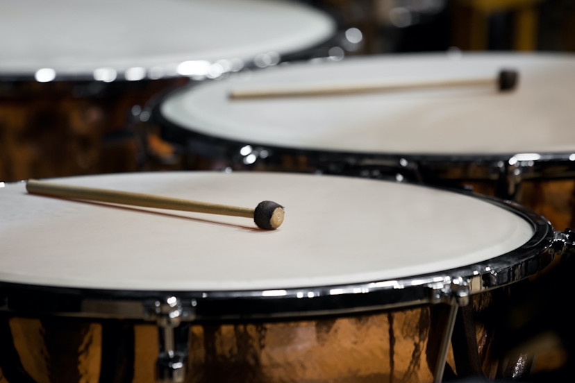 Percussion Guide: How to Read Percussion Music - 2025 - MasterClass