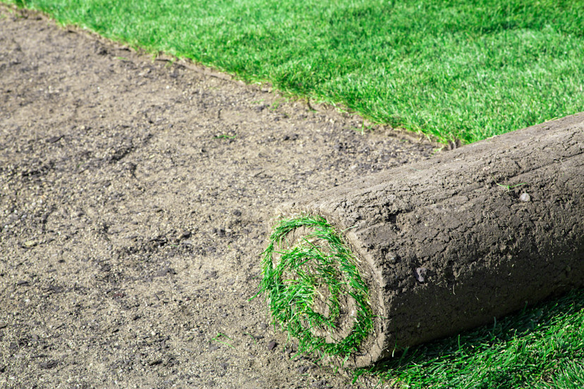 How to Lay Sod: 4 Ways to Prepare Your Lawn for Sod - 2025 - MasterClass