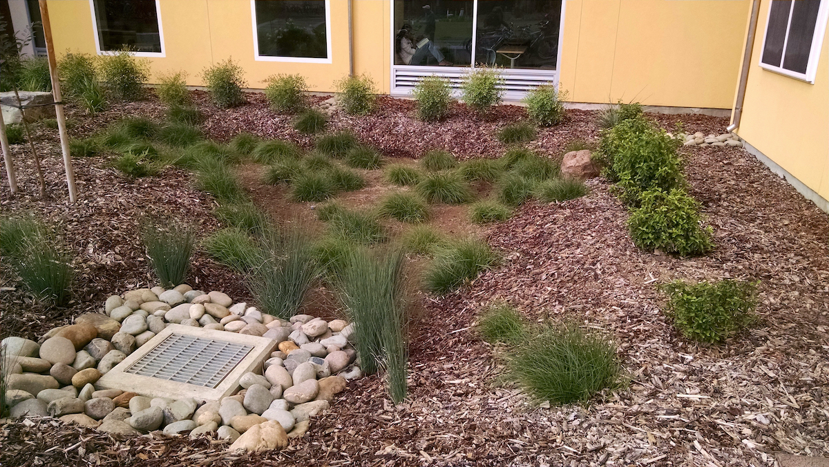 Swale Landscaping Drainage Ideas
