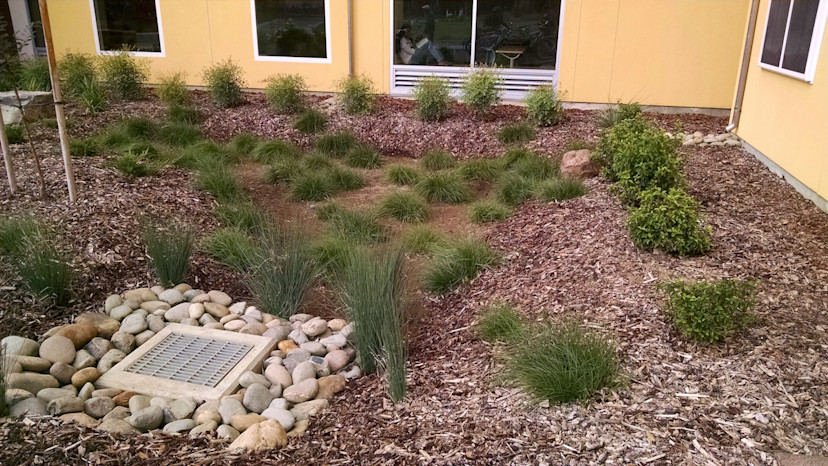 Swale Definition: 5 Benefits of Drainage Swales in Landscaping - 2025 ...