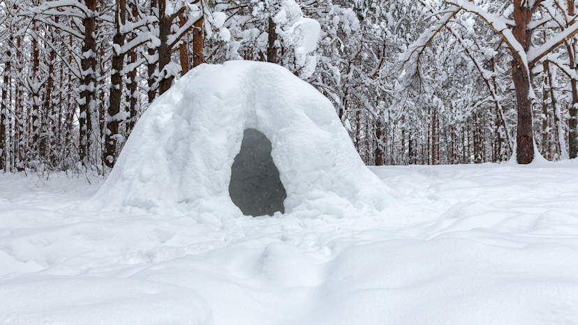 All About Snow Shelters: 5 Types of Snow Shelters - 2026 - MasterClass