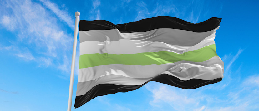 What Is Agender? Agender Meaning and Gender Identity Terms - 2025 ...