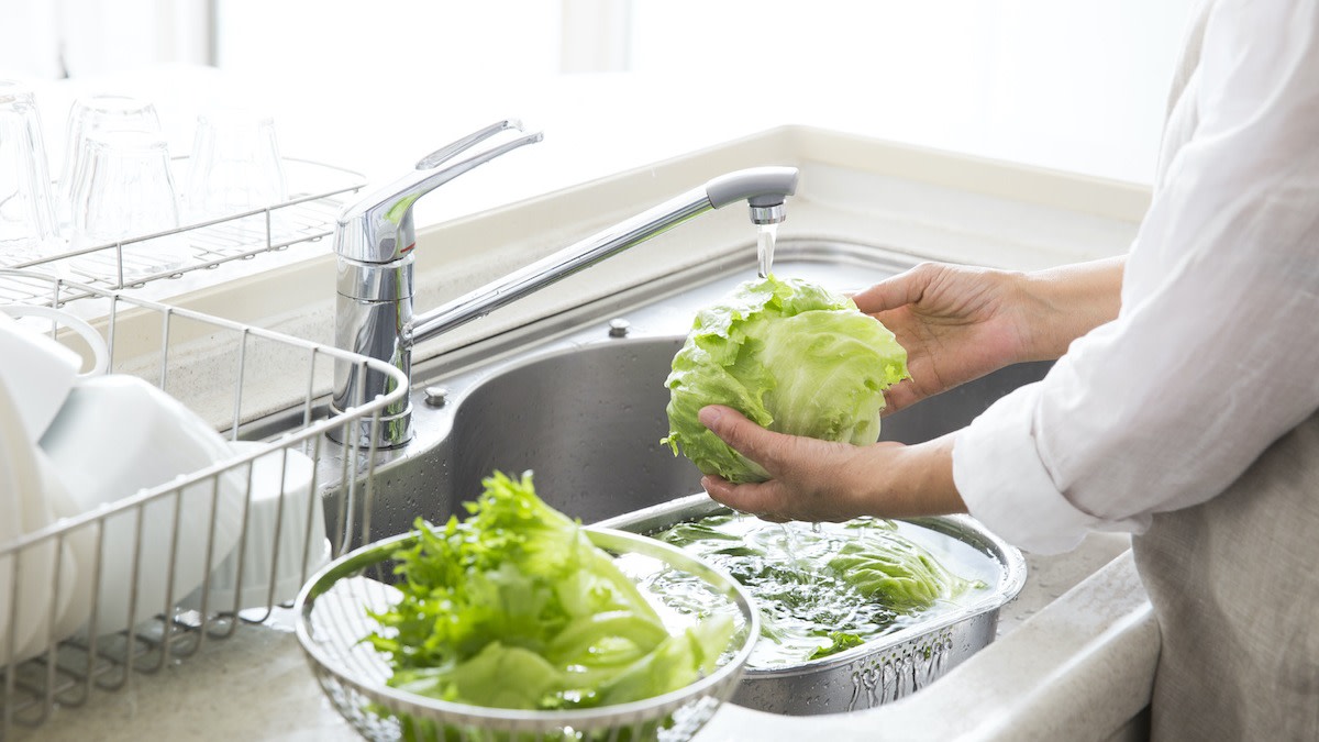 How to Wash Lettuce and Greens in 5 Steps - 2022 - MasterClass