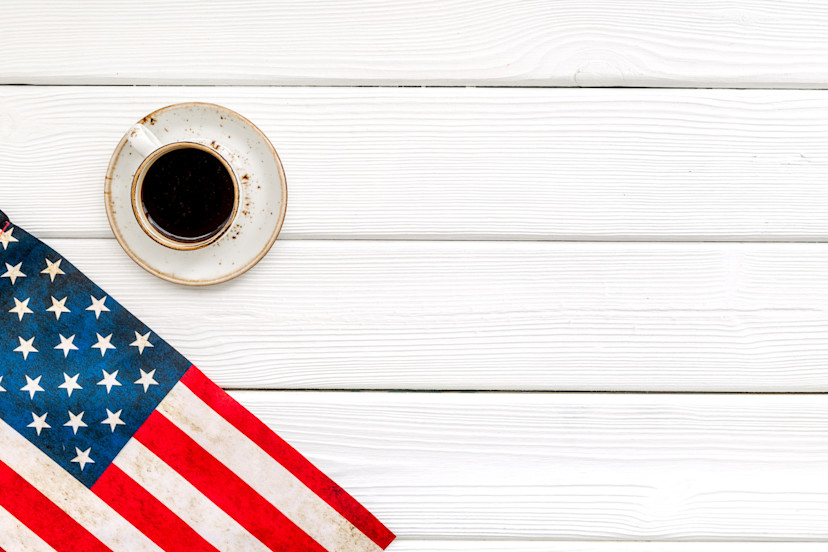 A Guide to the Primary Election Cycle in the United States - 2026 ...