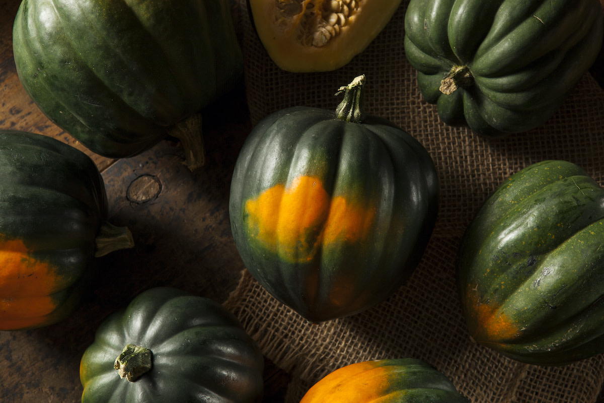 Acorn Squash Gardening Guide: How to Grow Acorn Squash - 2022 - MasterClass