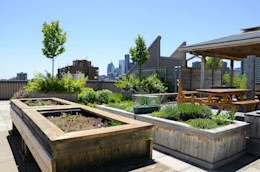How To Make Garden In Rooftop Hujaifa