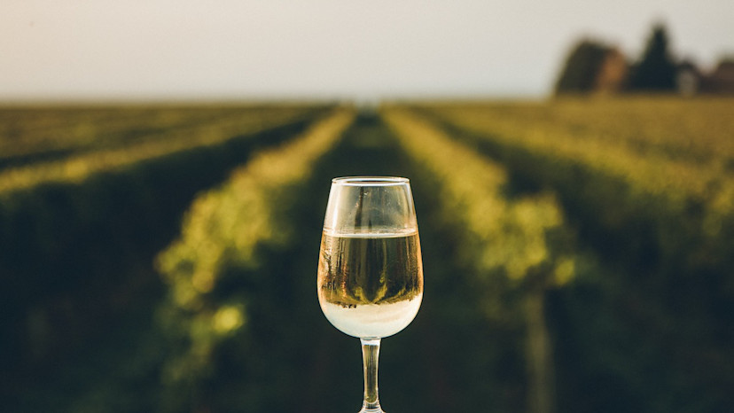 Sémillon Wine Guide: Flavor Profile of French Sémillon - 2026 - MasterClass
