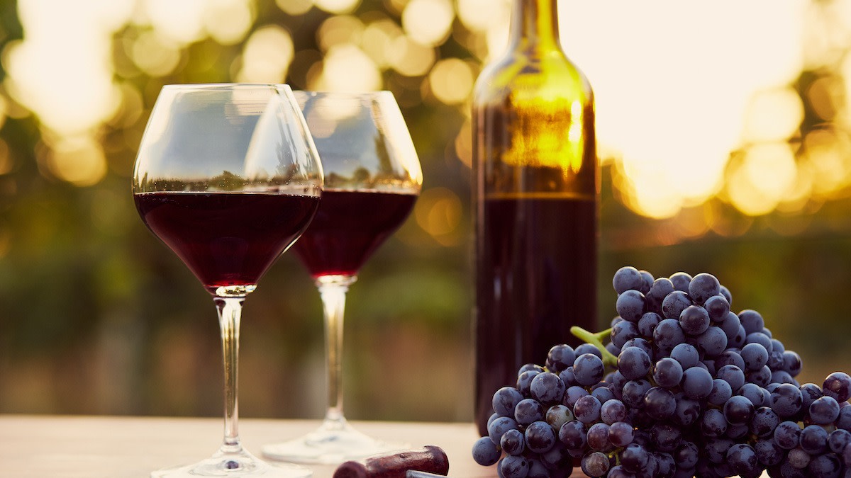 Learn About Negroamaro: Understanding the Italian Wine Grape - 2022 ...