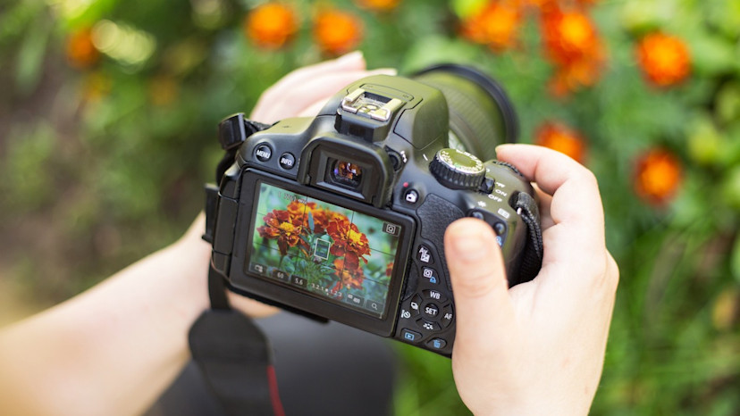 How to Focus Your Camera for Crisp Images - 2025 - MasterClass