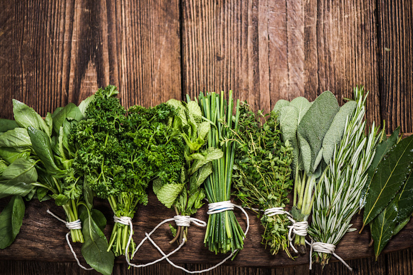 Cooking 101: The 15 Most Common Culinary Herbs and How to Cook With ...