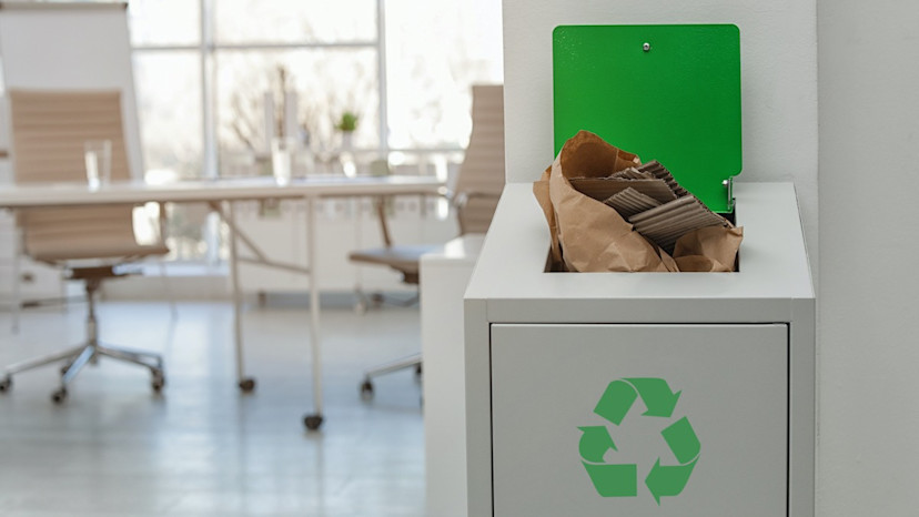 Beginner’s Guide to Recycling: 4 Useful Recycling Tips - 2025 - MasterClass