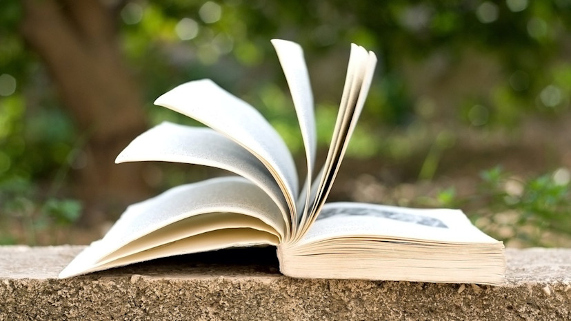 How to Create Your Own Flipbook Animation - 2025 - MasterClass