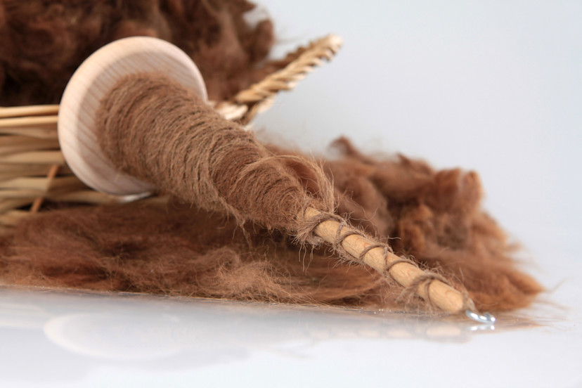 Fabric Guide: What Is Alpaca Fiber? - 2025 - MasterClass