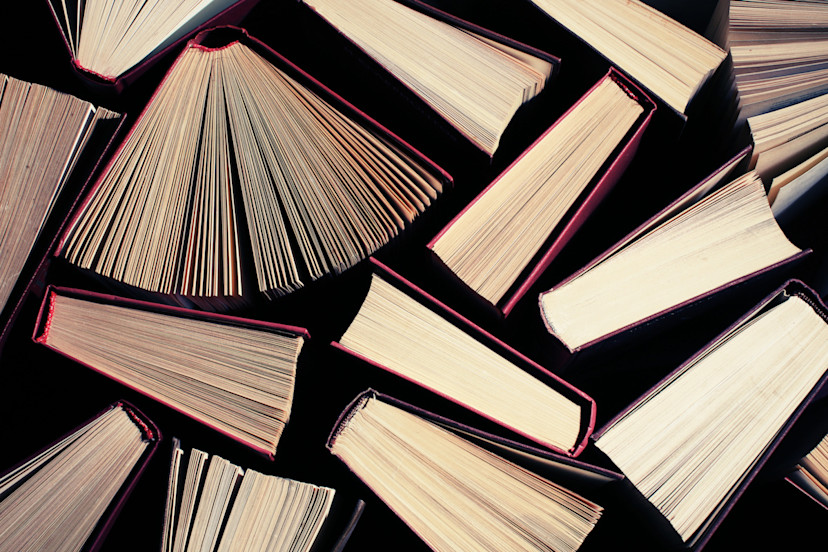 What Is a Bildungsroman? Definition and Examples of Bildungsroman in ...