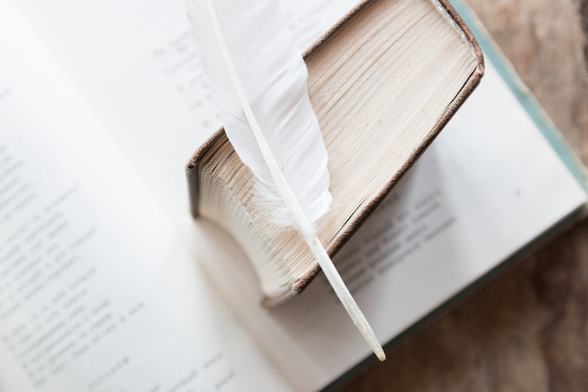 Poetry 101: What Is a Stanza in Poetry? Stanza Definition with Examples ...