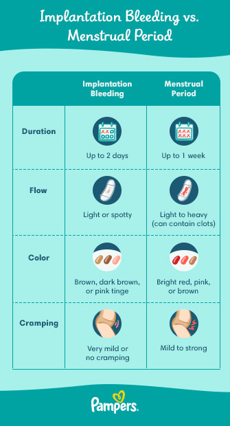 Light Bleeding Early Pregnancy Light Bleeding For 2 Weeks Straight