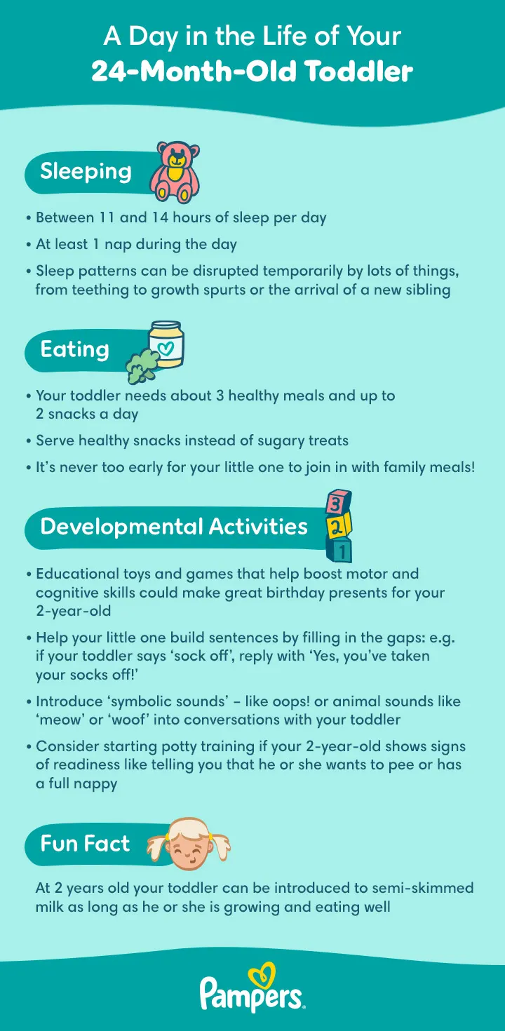 24-Month-Old Development: Your 2-Year-Old Toddler | Pampers UK