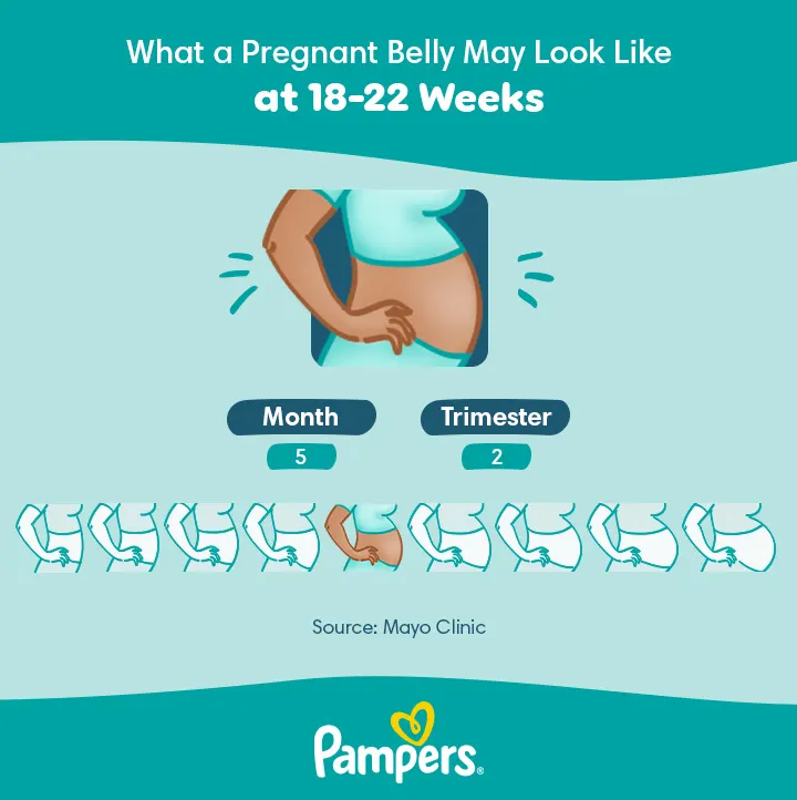 19 Weeks Pregnant: Symptoms & Baby Development | Pampers UK