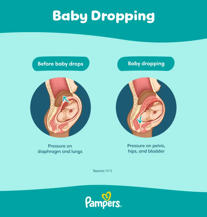 Sign of Labour: When Does Your Baby Drop? | Pampers UK