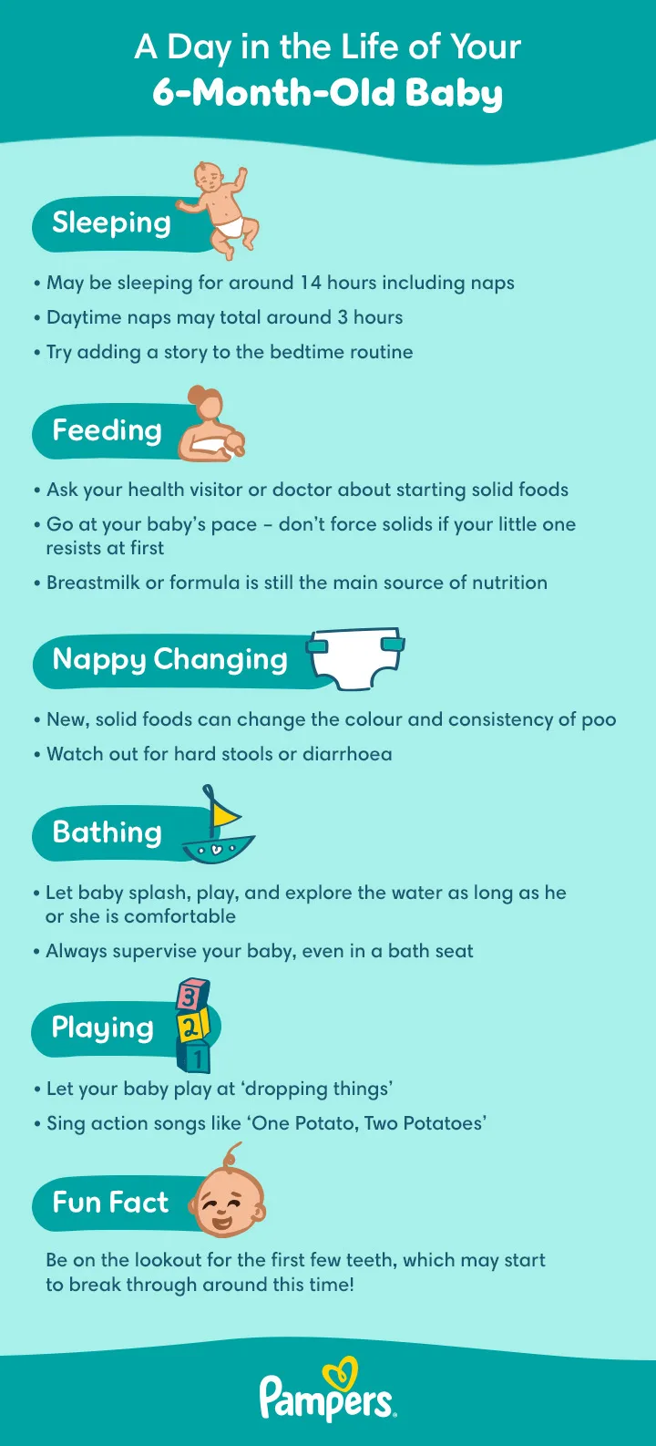 6-Month-Old Baby - Food, Development & Milestones | Pampers