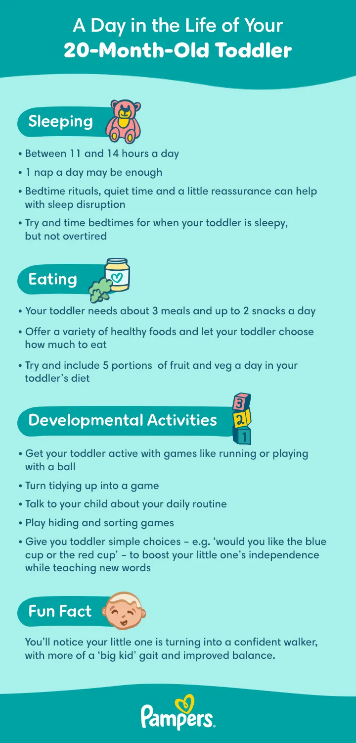 20-Month-Old: Development, Sleep and Activities | Pampers UK