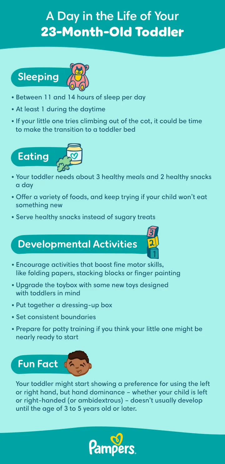 23-Month-Old: Development & Activities | Pampers UK
