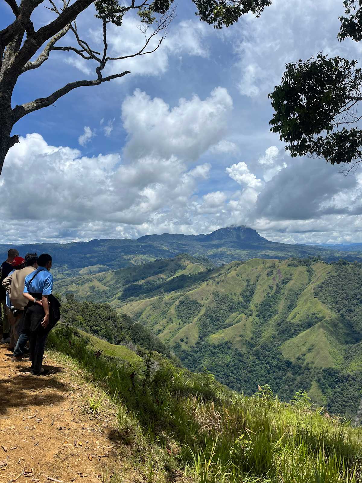 Papua New Guinea — Origin Spotlight | Allpress Espresso