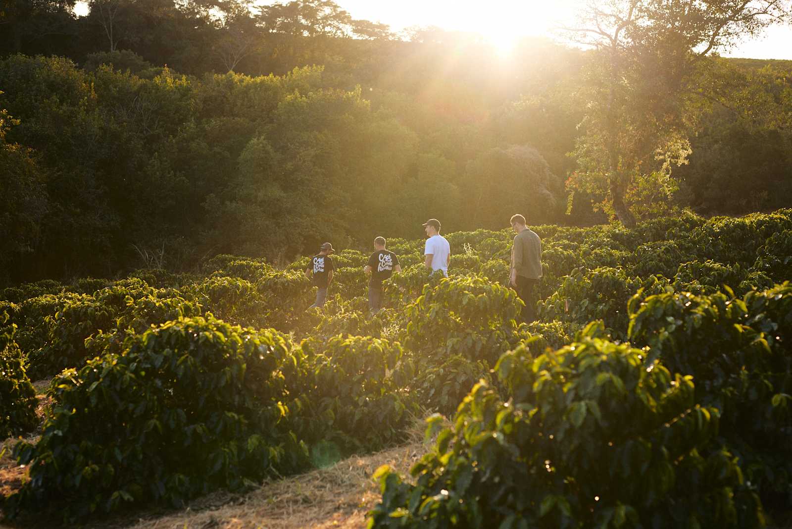 Allpress Espresso Community | Coffee Sourcing | Allpress Espresso