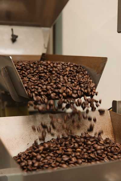 Coffee roasting methods — Drum roasting vs Hot air roasting | Allpress ...