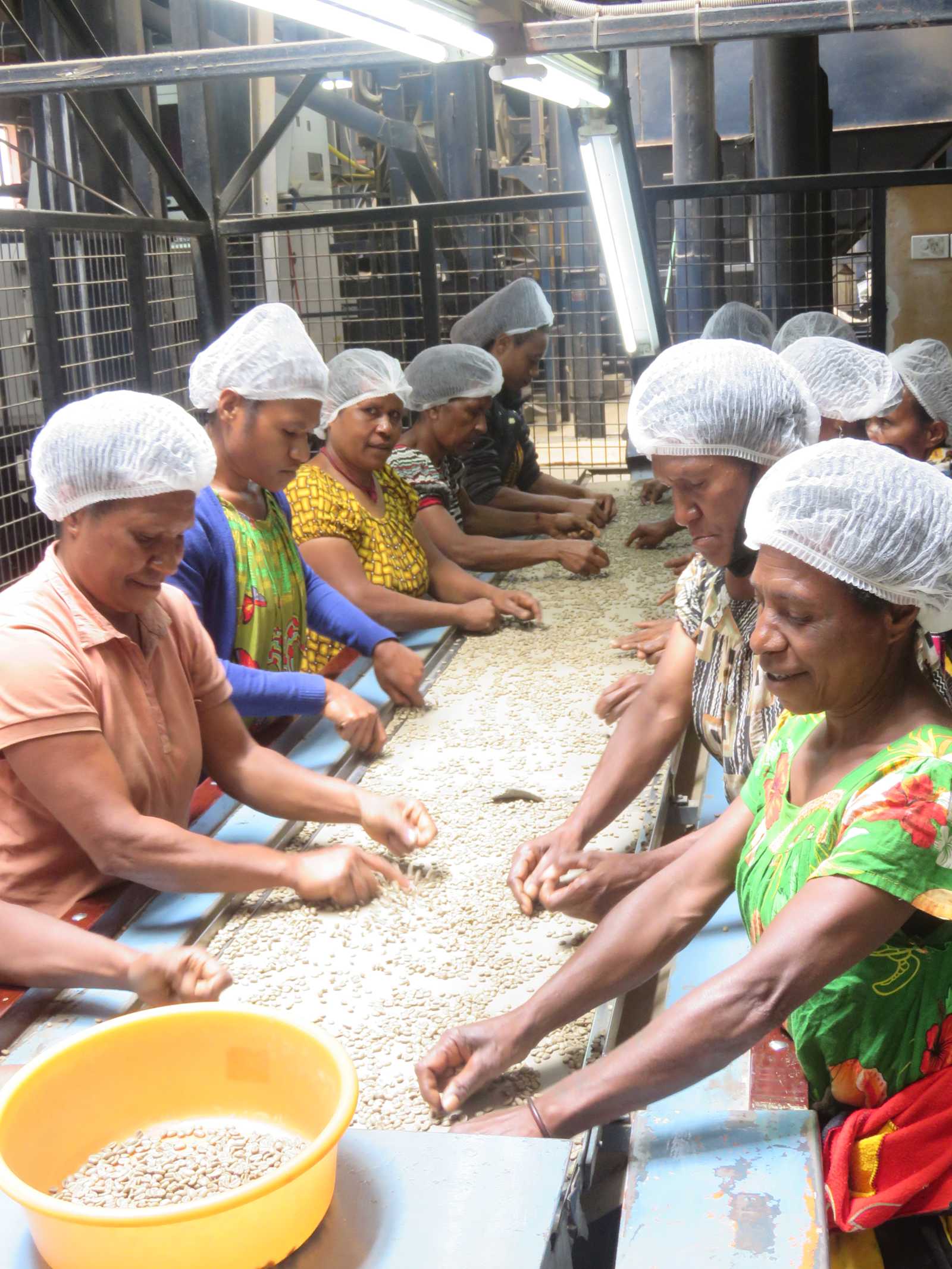 Bringing PNG coffee to the world - On the ground at origin | Allpress ...