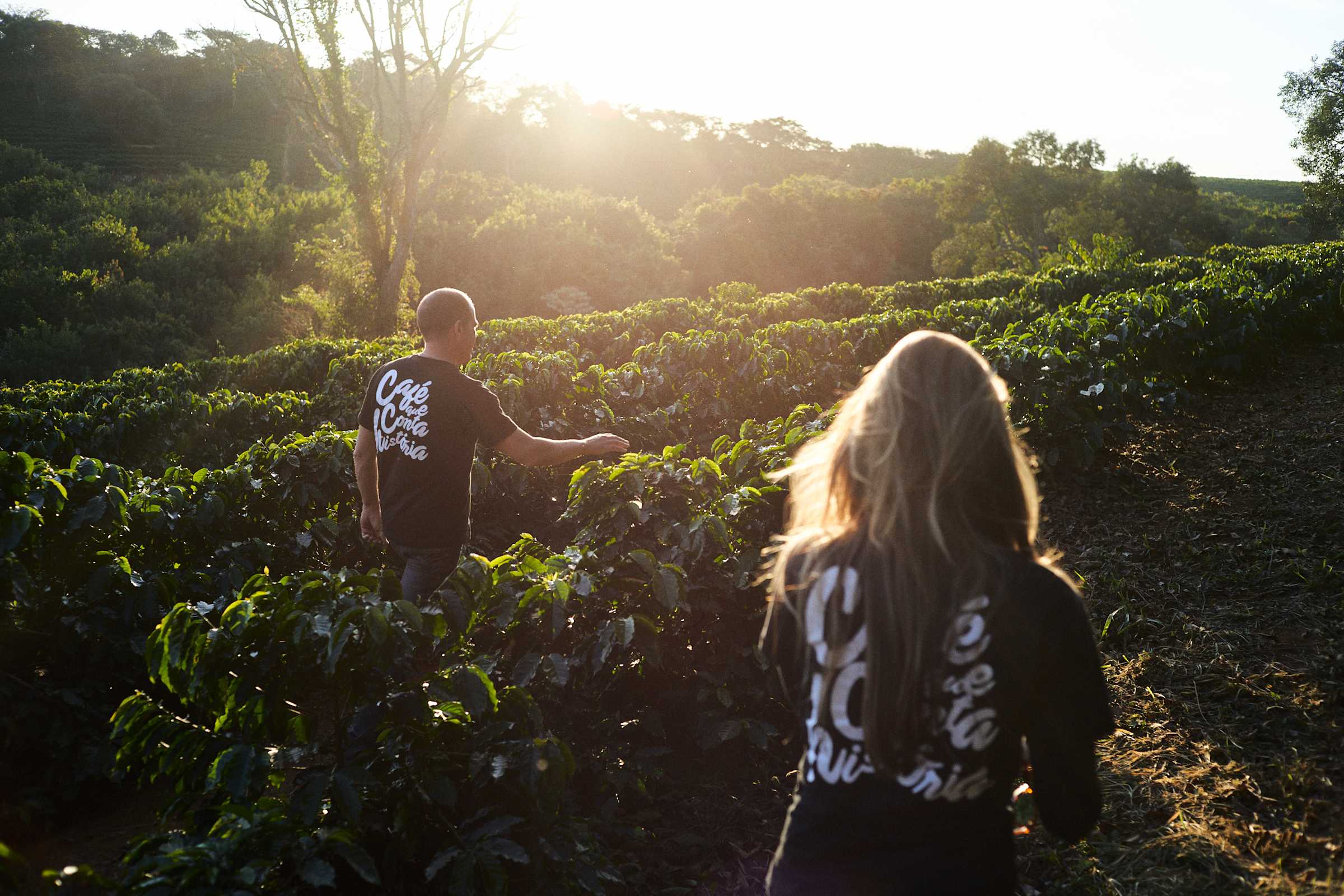 Explaining the “C Market” | Allpress Espresso