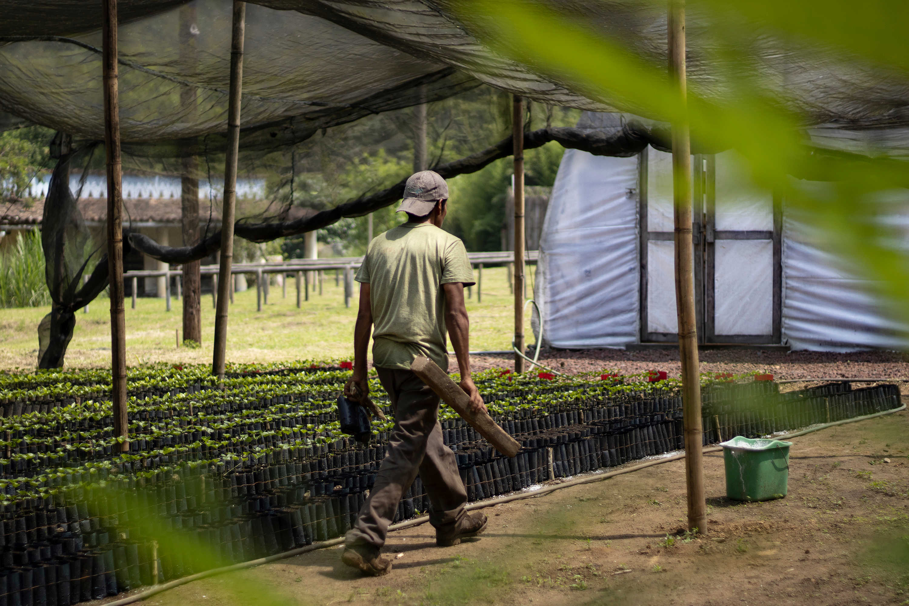 Allpress Espresso Community | Coffee Sourcing | Allpress Espresso