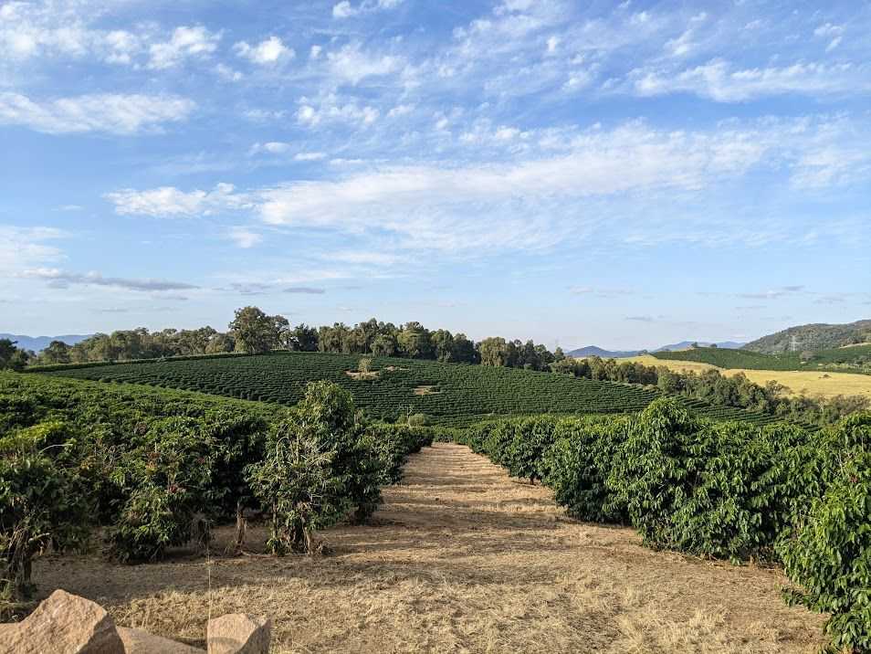 Allpress Espresso Community | Coffee Sourcing | Allpress Espresso