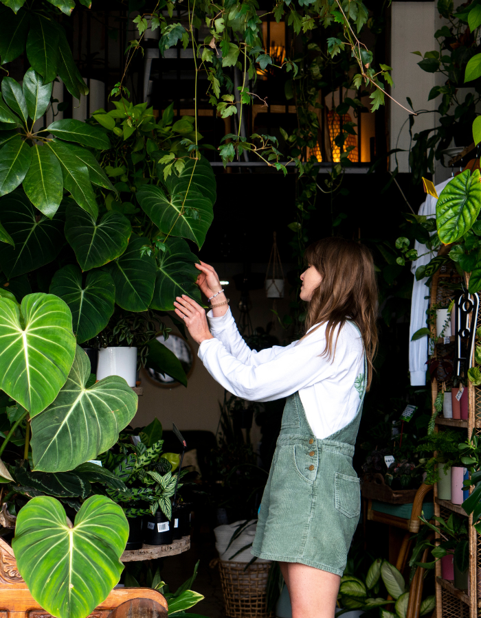 Iconic Coffee: Australia | Allpress Espresso