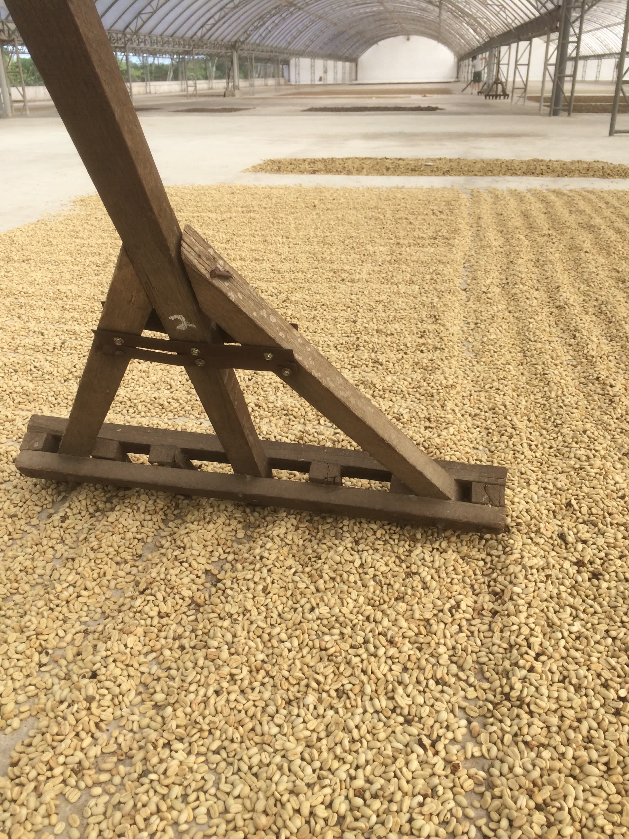 Meet Jovita Castillo: the woman behind our beloved Finca Joya Grande ...