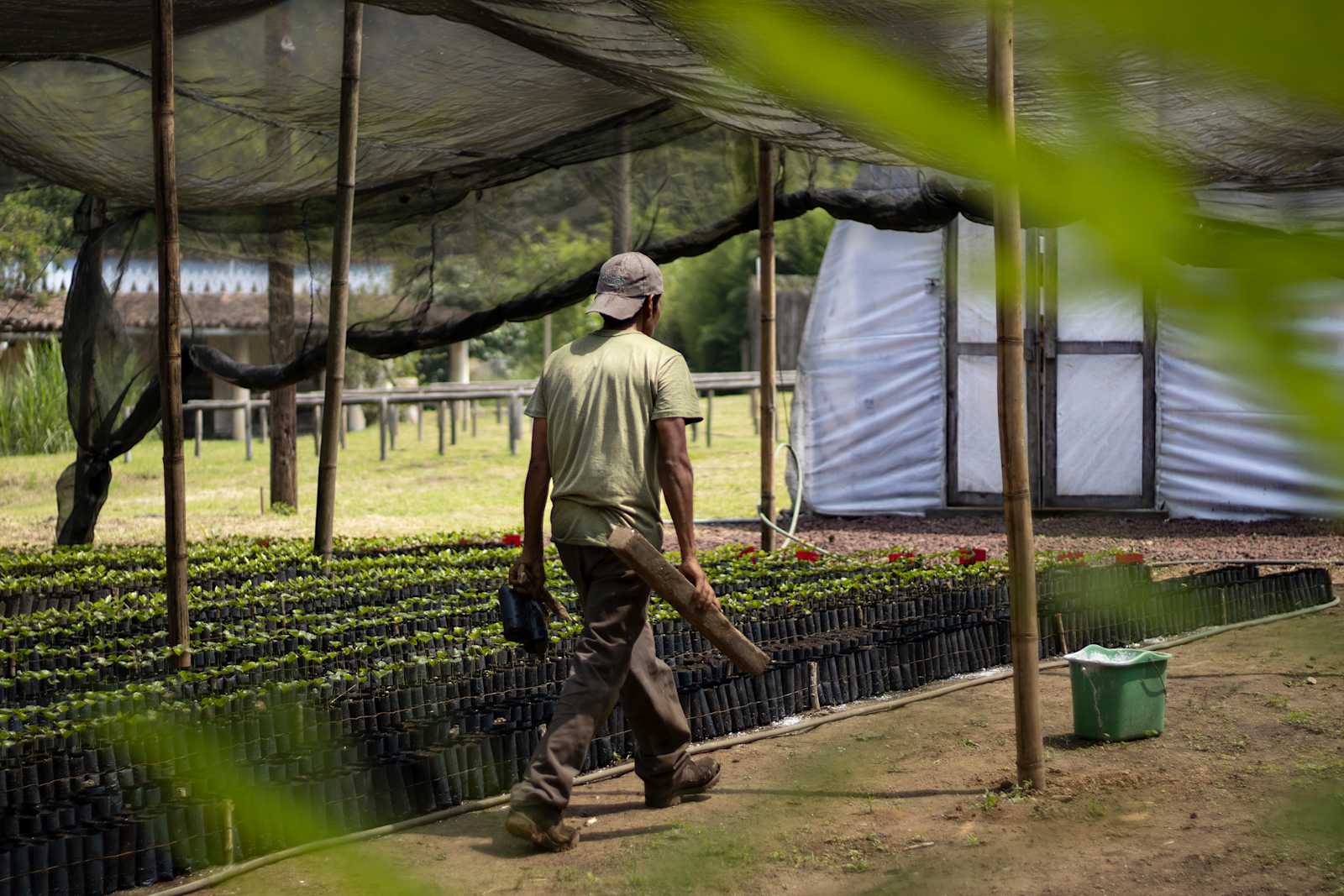 Biodynamic coffee farming with El Equimite | Allpress Espresso