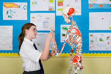 Guide to the Orange County Science Fair for HIgh School Students ...