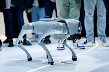International Science and Engineering Fair (ISEF) Guide | Polygence