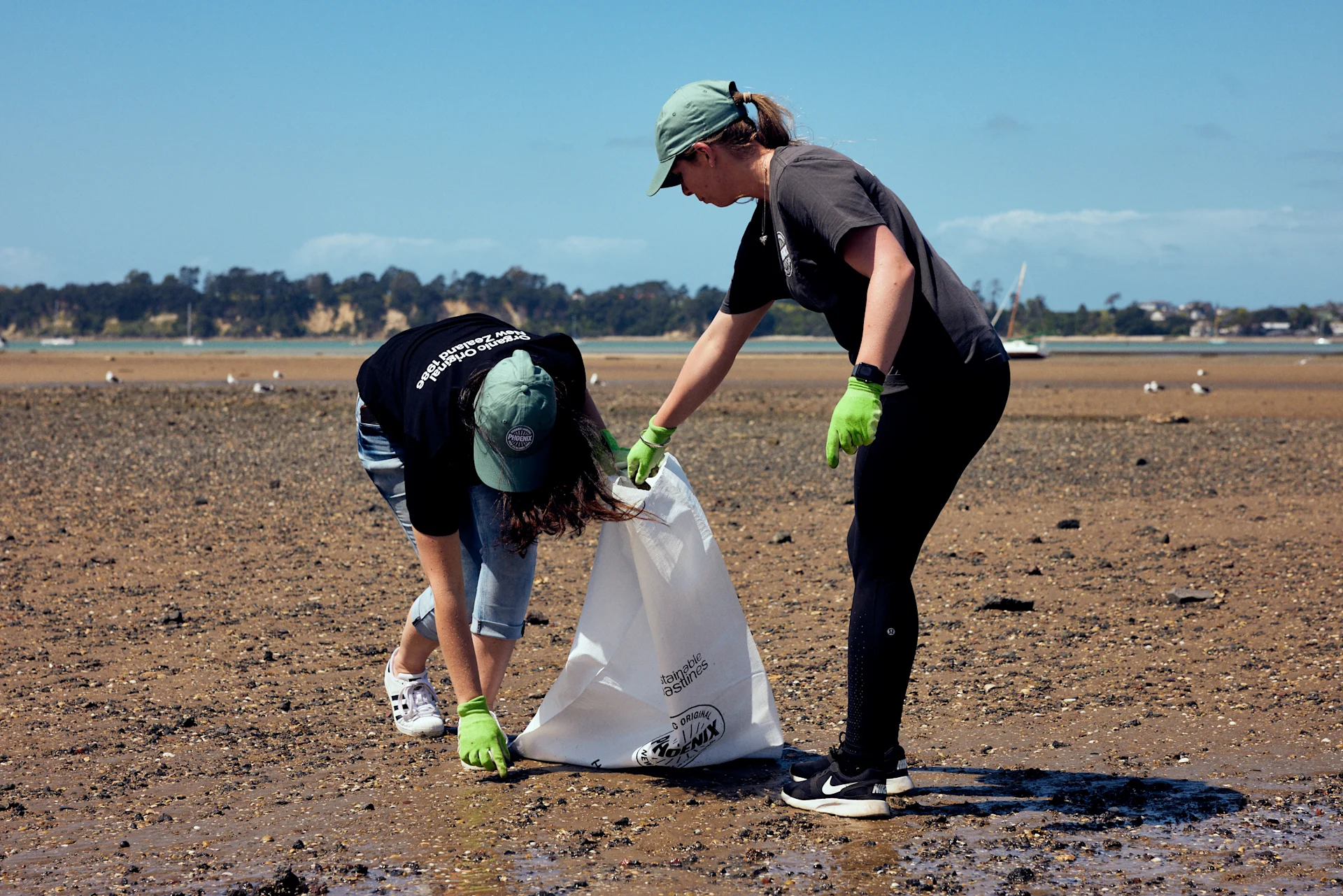 Phoenix Organics takes to the beach for rubbish removal as part of ...