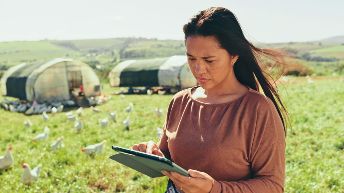 How AI-Powered Crop Monitoring Expands Farm Credit in Brazil | TELUS ...