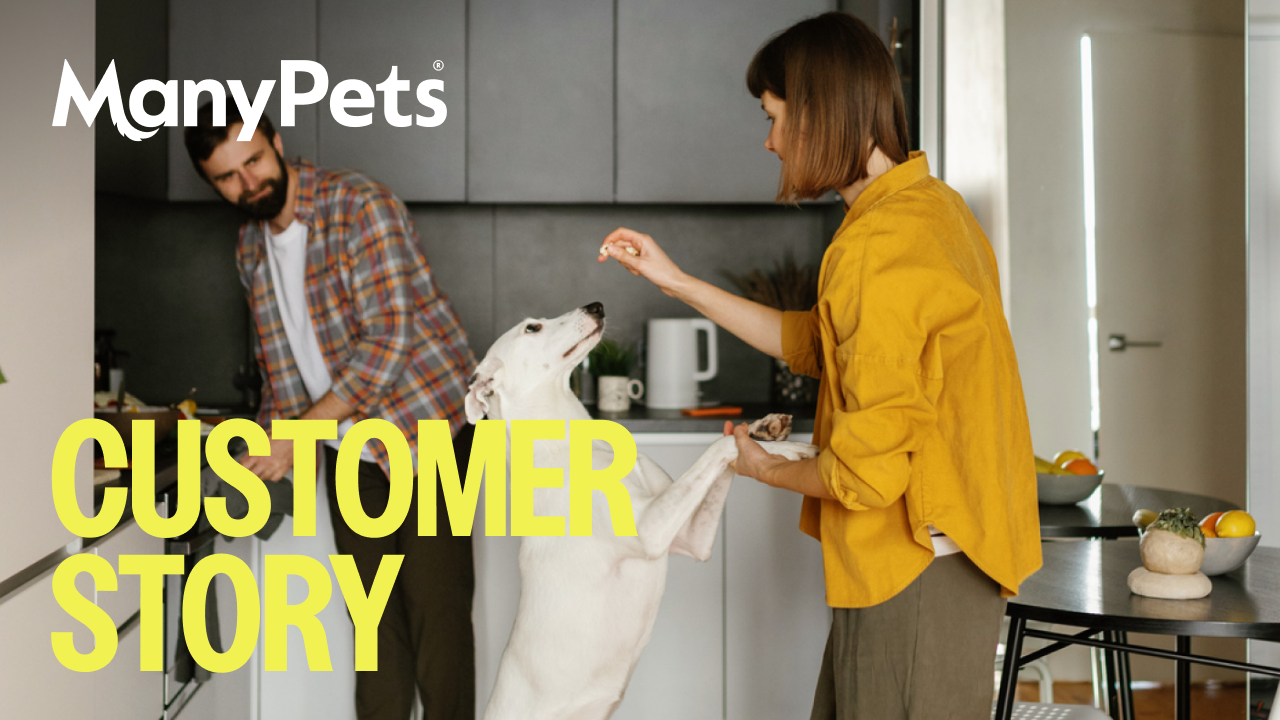 ManyPets customer story | GoCardless | GoCardless