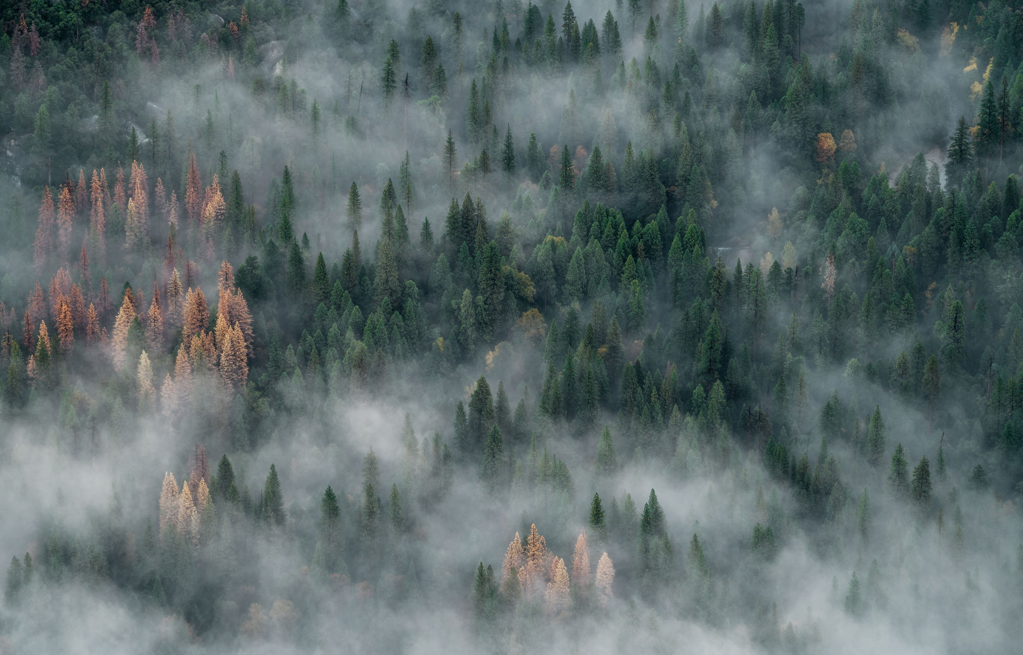 5 Best React.js Frameworks to Use in 2023