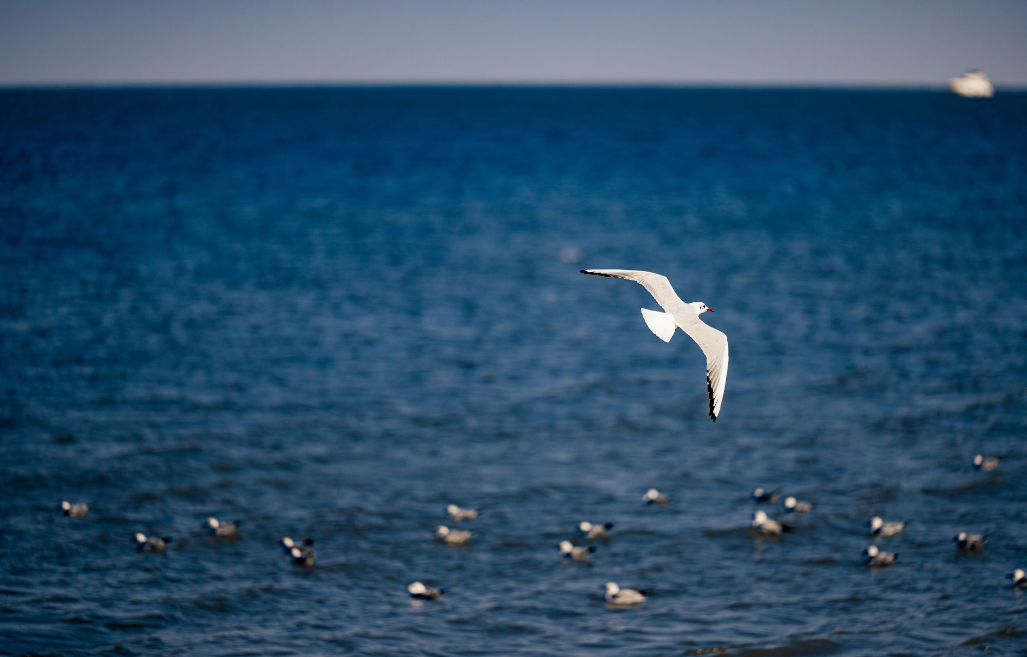 7 Best Node.js Libraries for Your Project in 2023