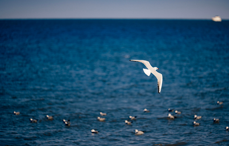 7 Best Node.js Libraries for Your Project in 2023