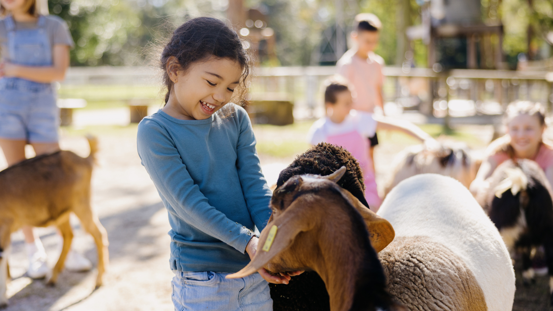 Meet Aussie Animals at Paradise Country Gold Coast