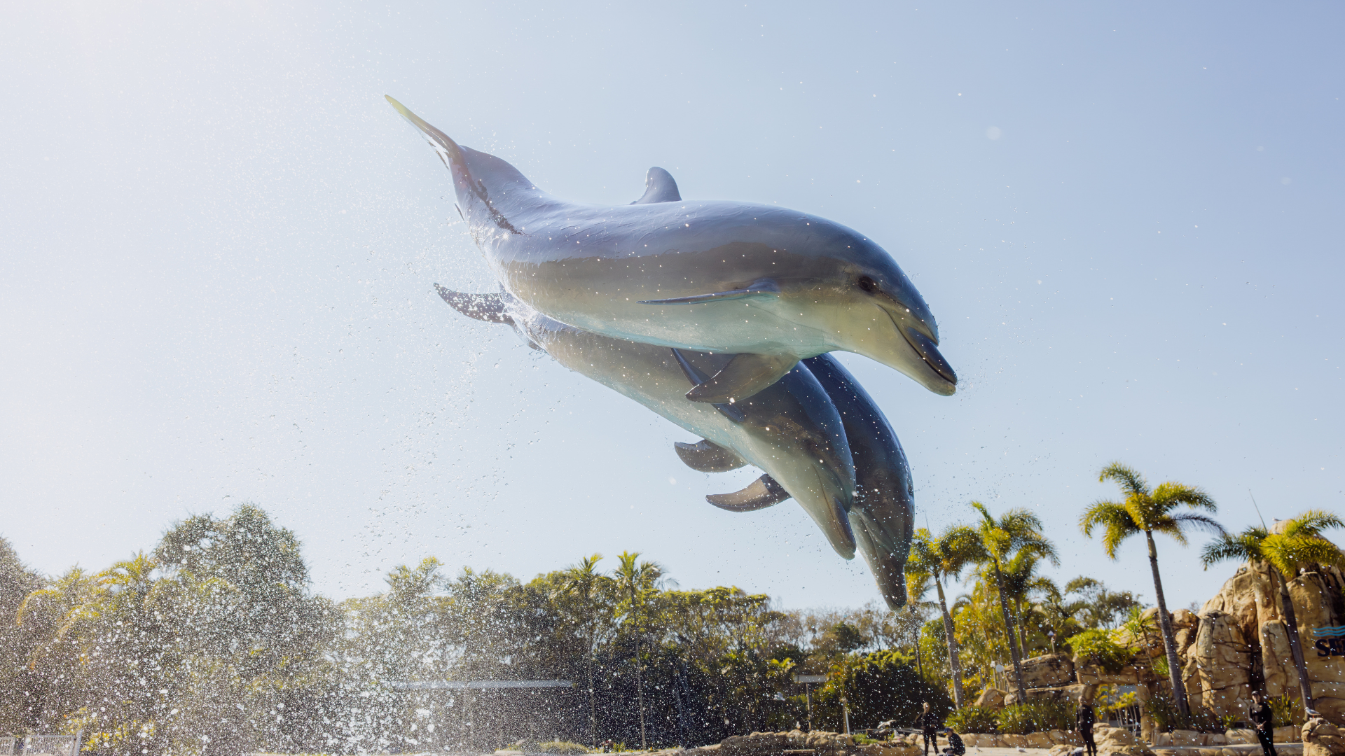 Sandy Shores Lagoon at Sea World Gold Coast